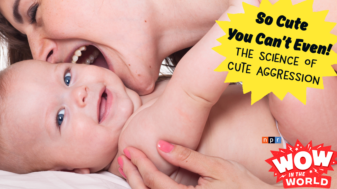 Cute Aggression: Khi Sự Dễ Thương Khiến Bạn Muốn "Nghiến Răng"